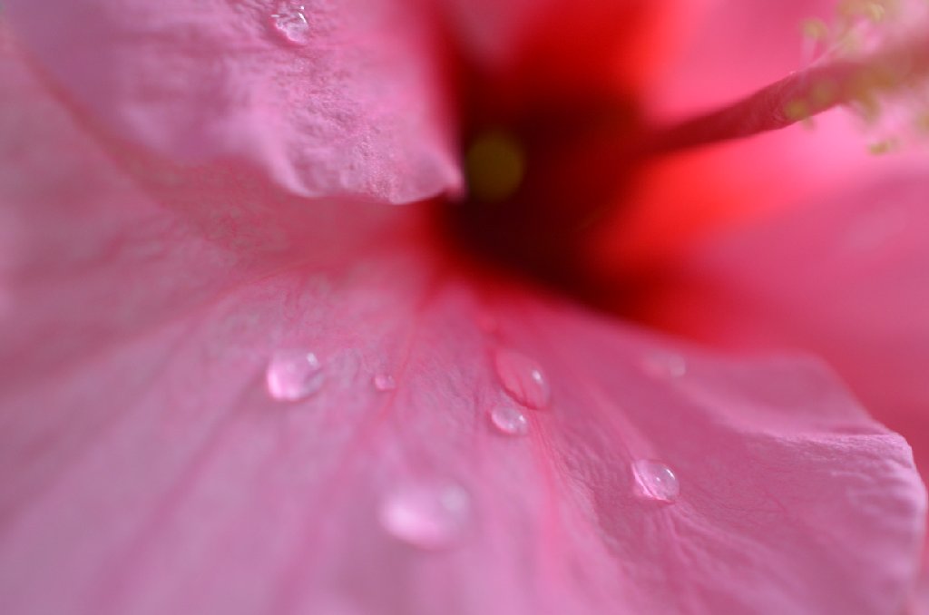 Myly -my only-【会社概要】